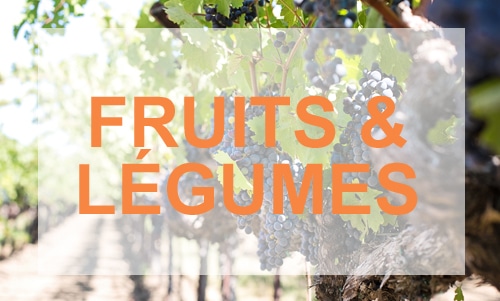 Raisin : variétés, caractéristiques et bienfaits - Voie Verte