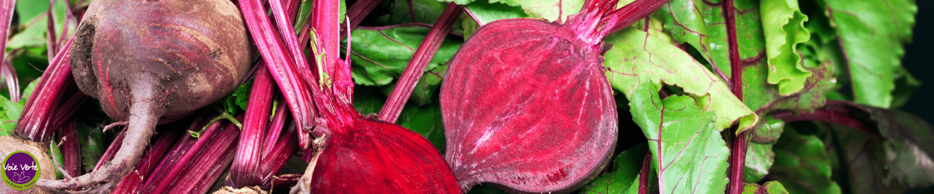 Comment cuisiner des betteraves rouges ? - Voie Verte